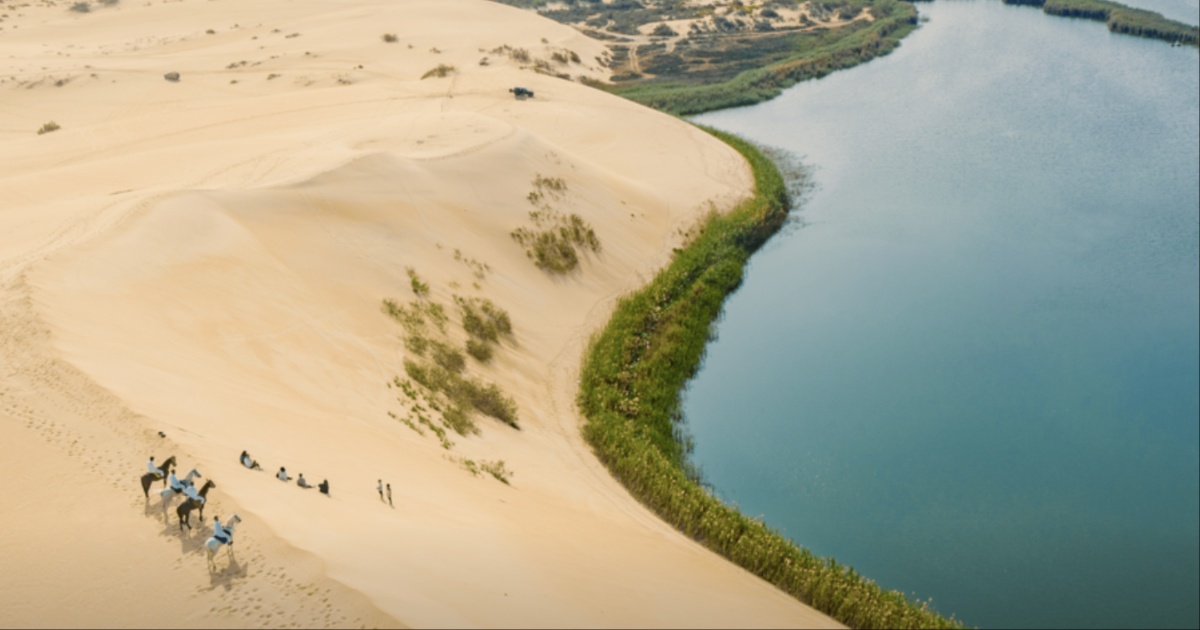 Cruise Saudi Red Sea private island: the new destination to visit