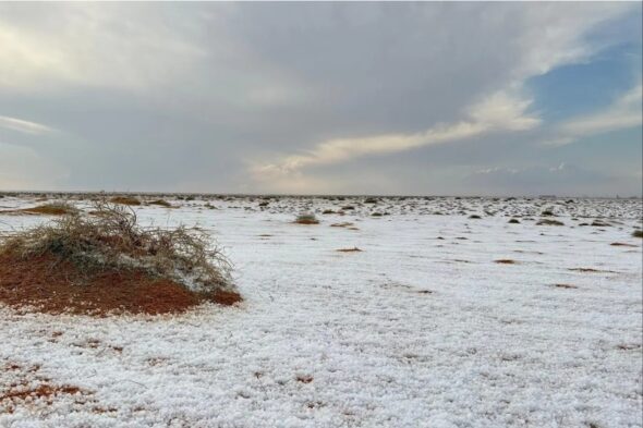Take a look at Saudi Arabia's first snowfall this year