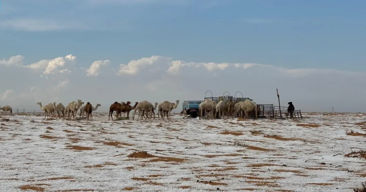 Take a look at Saudi Arabia's first snowfall this year