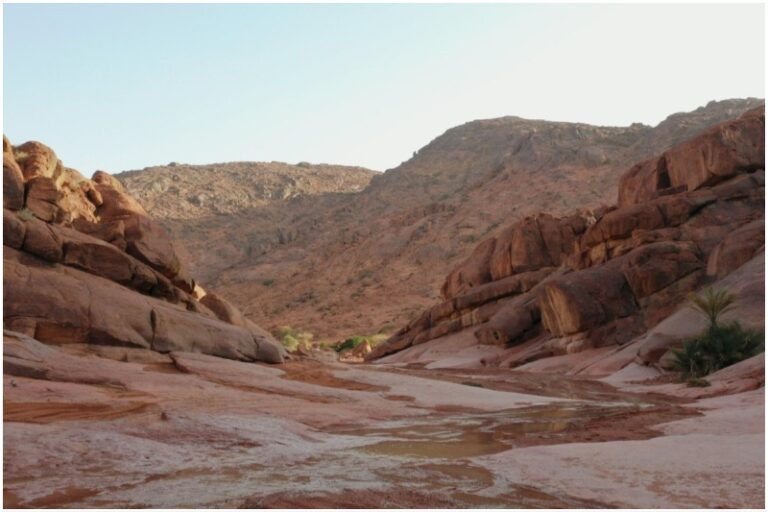 6 Saudi Arabia nature reserves added to global conservation list
